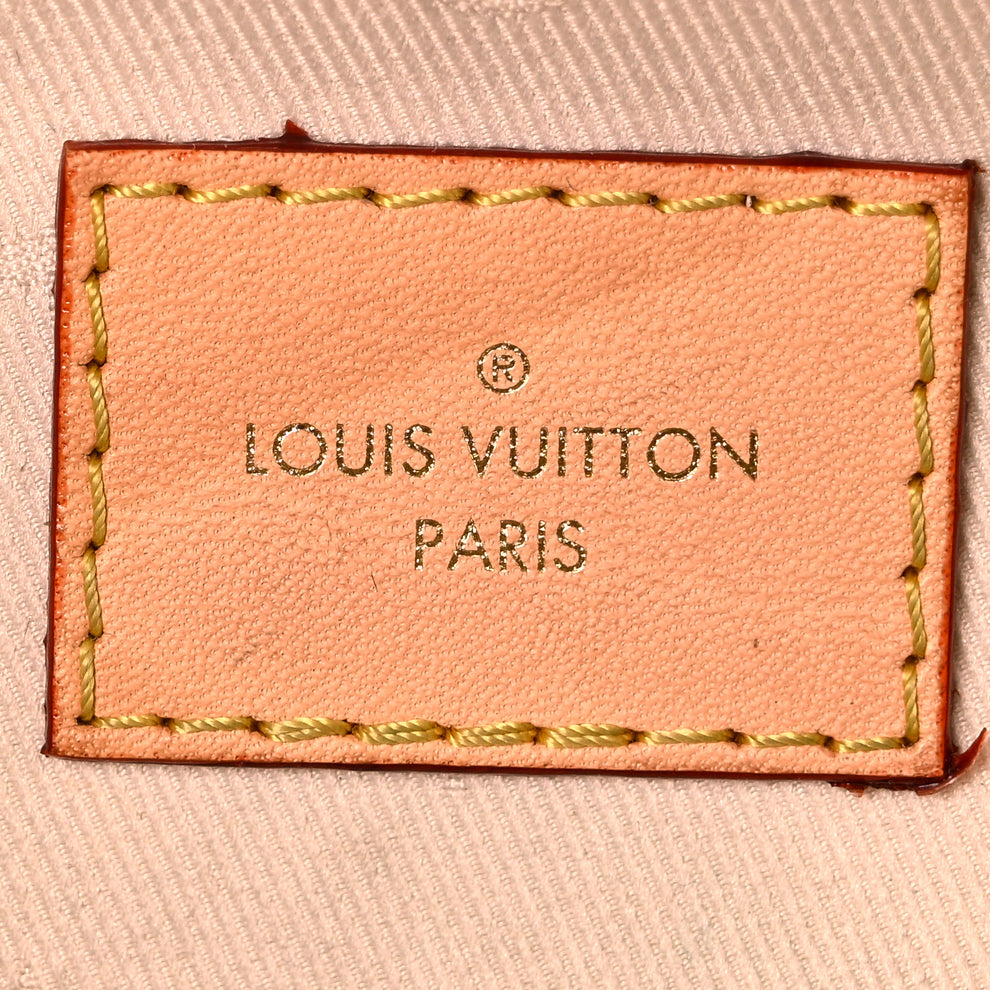 Louis Vuitton Monogram High Rise Bumbag 1790516 – FASHIONPHILE
