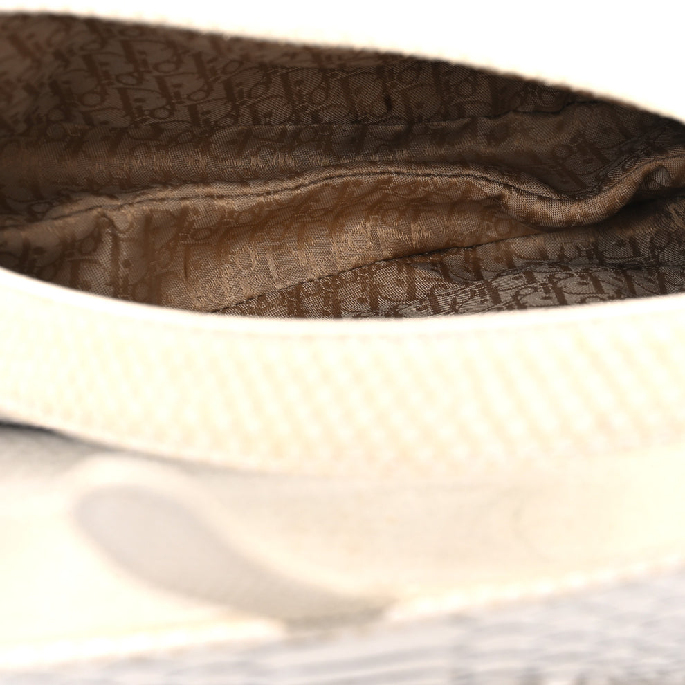 Christian Dior Snakeskin Saddle Bag White 1773113 – FASHIONPHILE