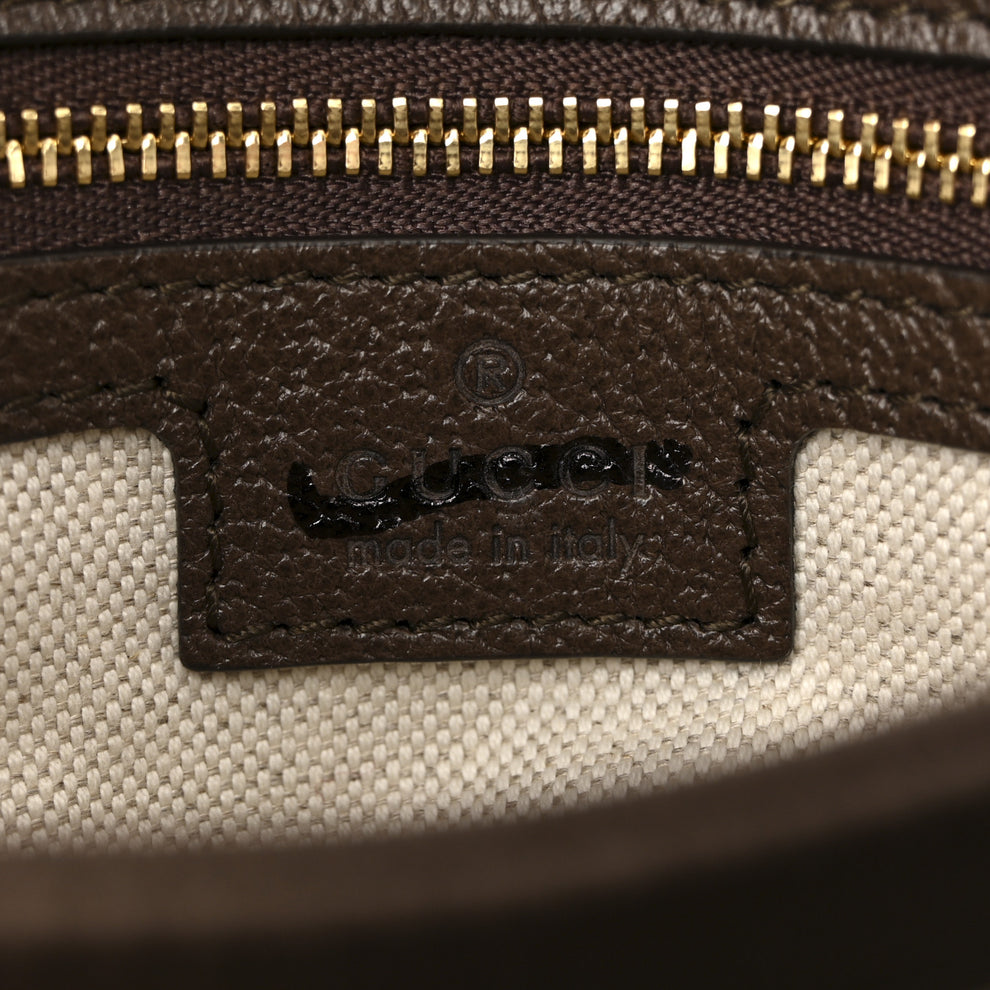 Gucci GG Supreme Monogram Textured Dollar Calfskin Web Medium Blondie ...