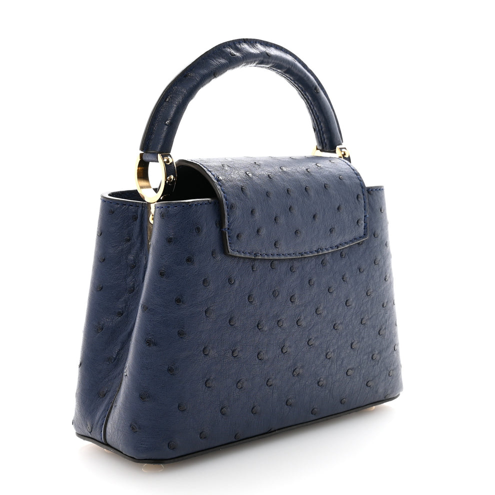 Louis Vuitton Ostrich Capucines Mini Indigo 1826670 – FASHIONPHILE