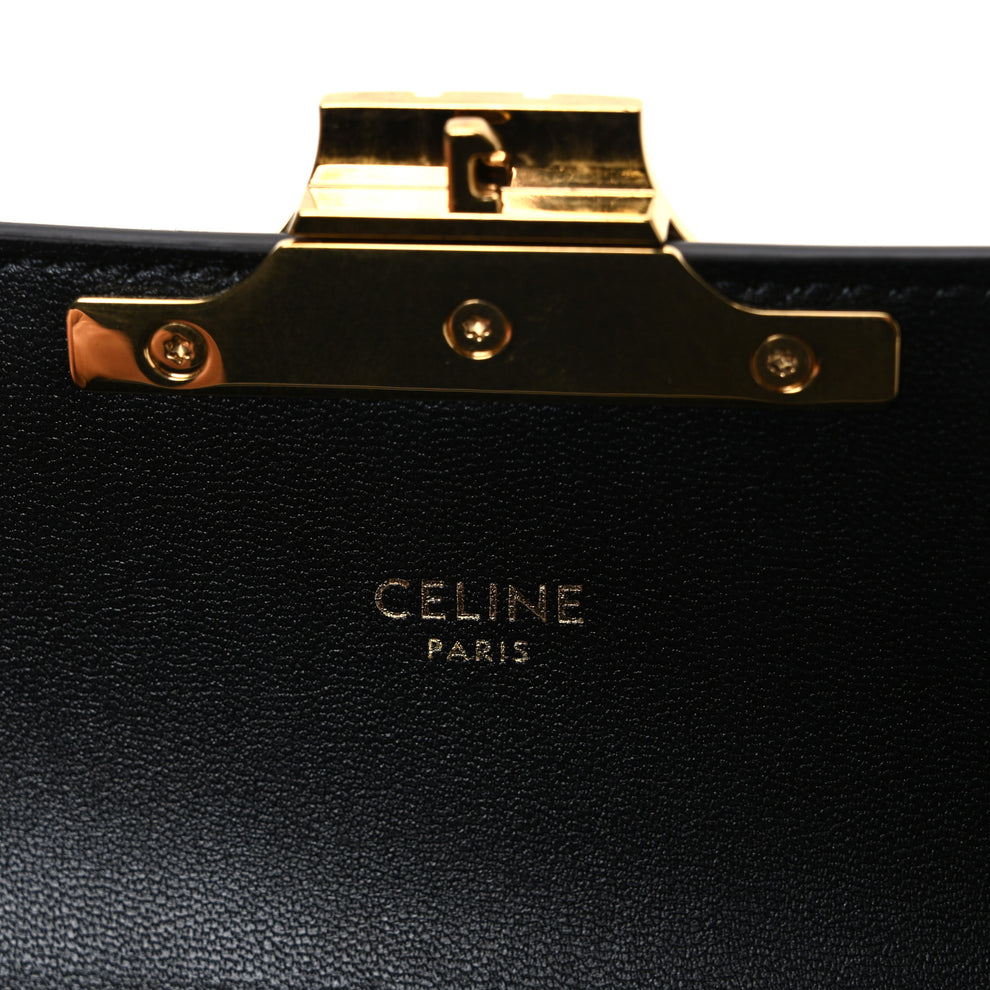 Celine Pony Hair Leopard Print Triomphe Chain Shoulder Bag Multicolor ...