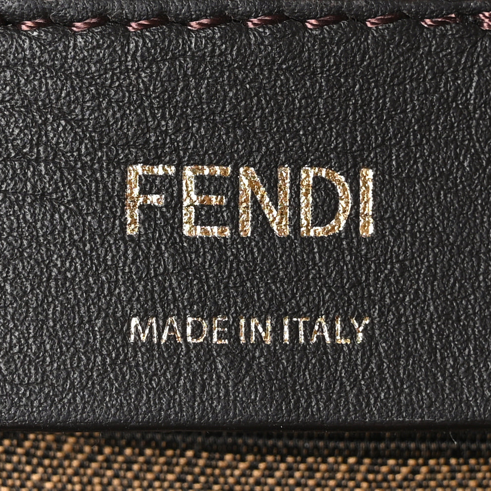Fendi Vitello King Plexiglass Logo Embossed Mini By The Way Top Handle ...