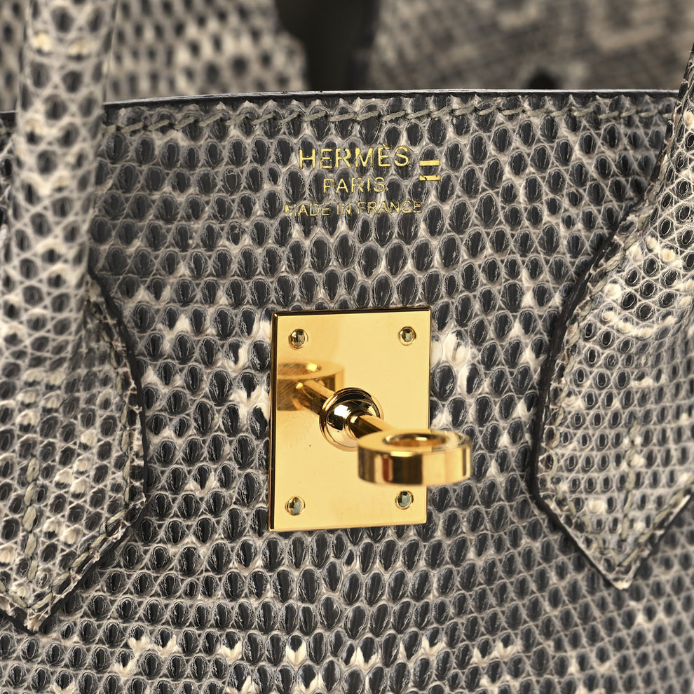 Hermes Lizard Birkin 25 Ombre 1767242 – FASHIONPHILE