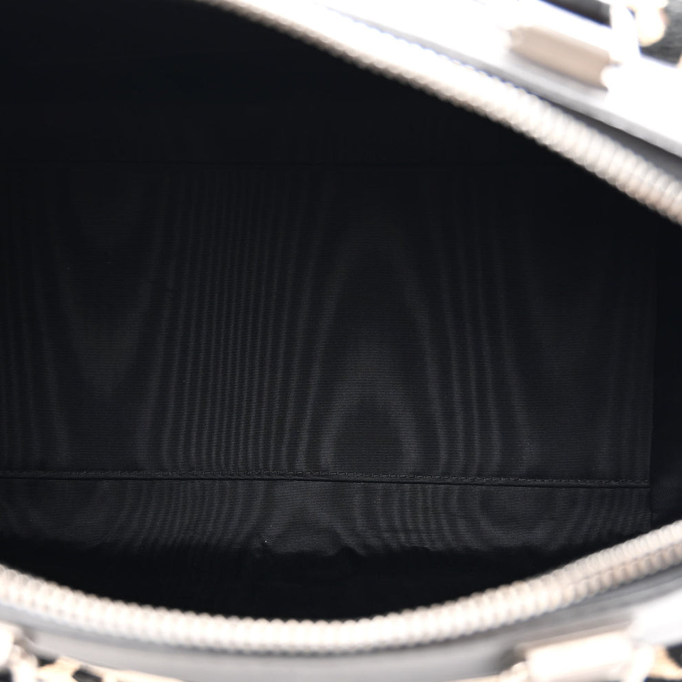 Louis Vuitton Jacquard Velvet Leopard Print Stephen Sprouse Speedy ...