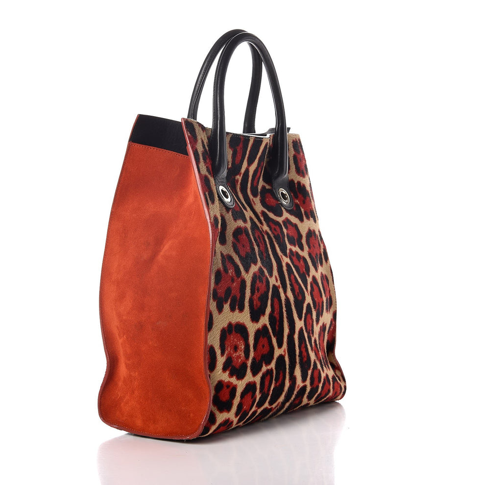 Jimmy Choo Calf Hair Leopard Rosabel Satchel Red 306738 – FASHIONPHILE