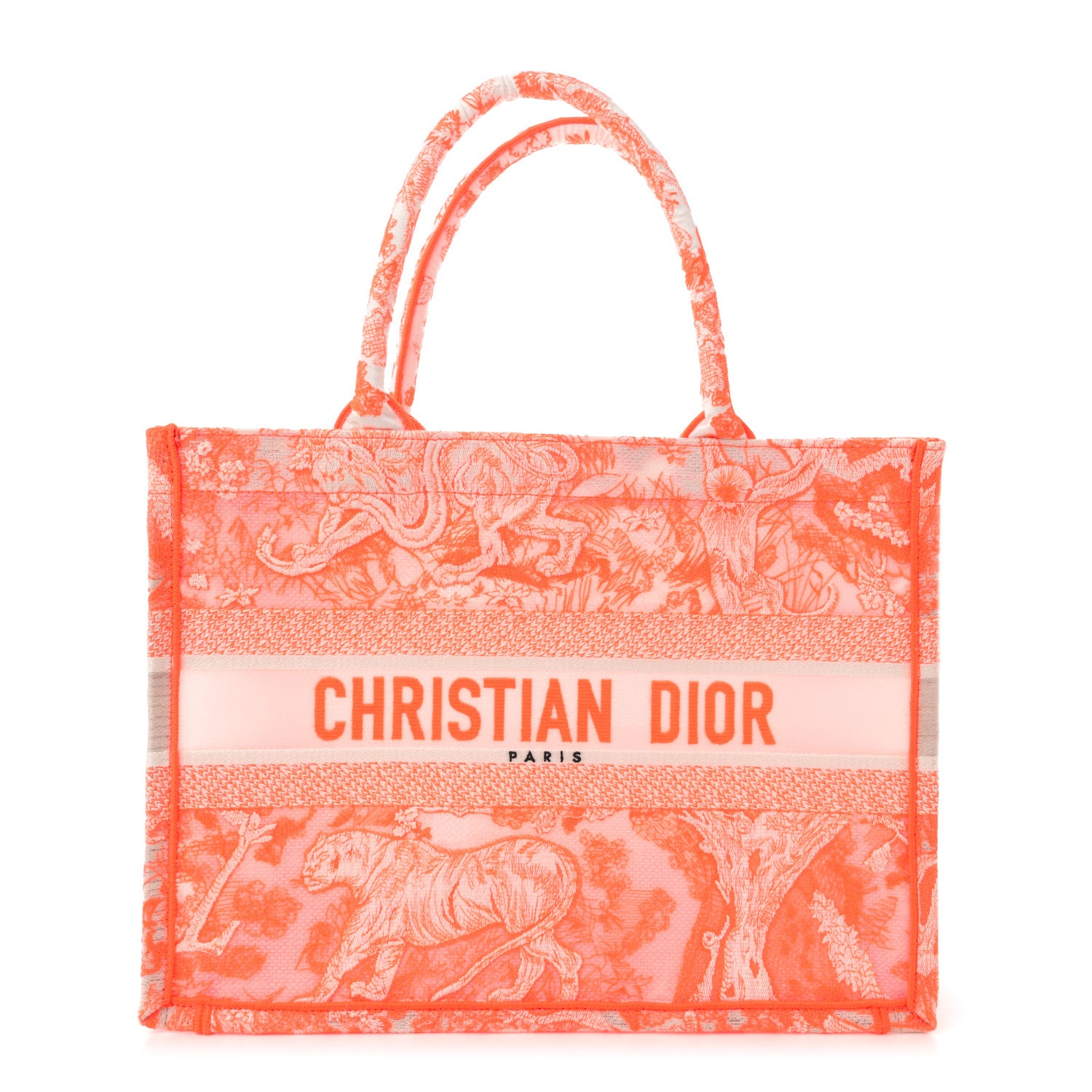 Christian Dior Transparent Canvas Embroidered Medium Dioriviera Toile ...