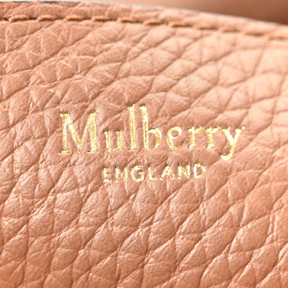 Mulberry Heavy Grain Medium Alexa Chestnut 1799684 – FASHIONPHILE