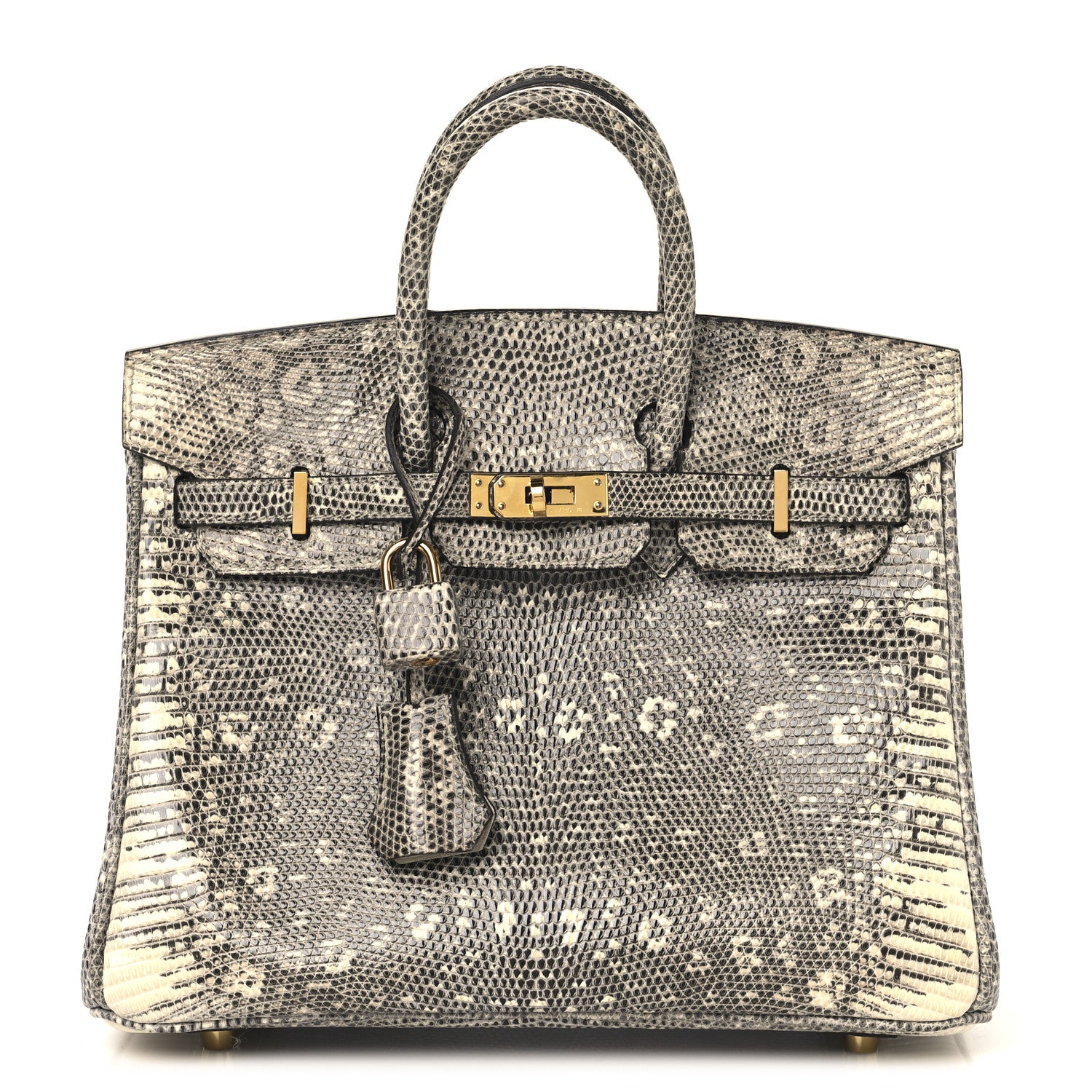 Hermes Lizard Birkin 25 Ombre 1767242 – FASHIONPHILE