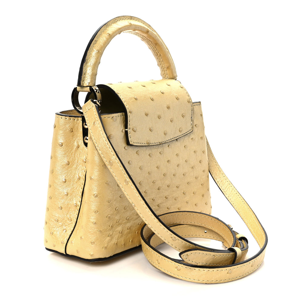 Louis Vuitton Iridescent Ostrich Capucines Mini Yellow 1779175 ...