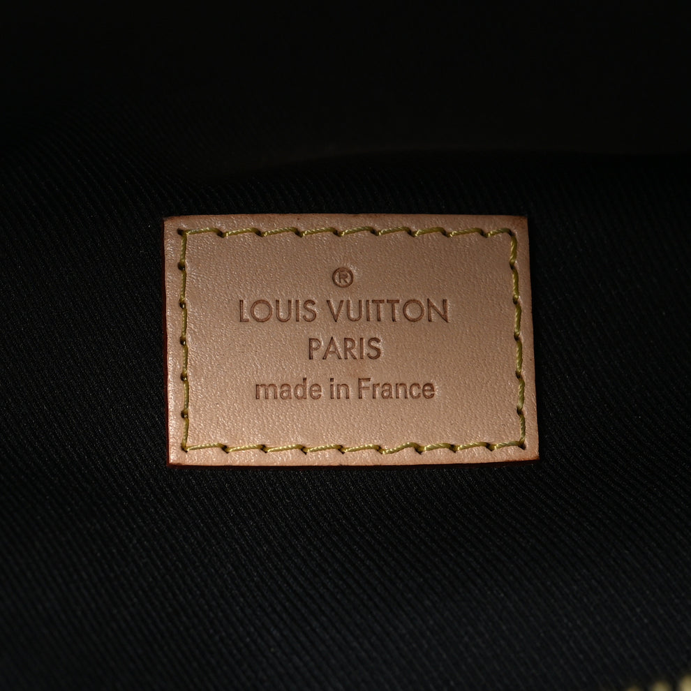 Louis Vuitton Monogram Bumbag 1784415 – FASHIONPHILE
