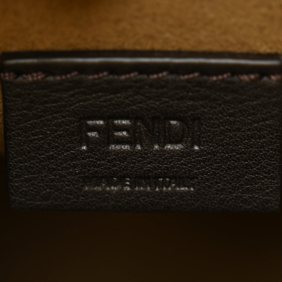 Fendi Vitello Catalan Mirror Plexiglass Mini Fendi Sunshine Shopper ...