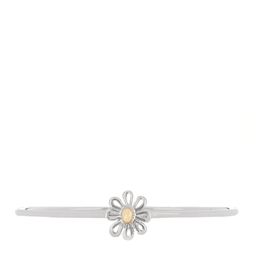 Tiffany Sterling Silver 18K Yellow Gold Paloma Picasso Daisy Bangle ...